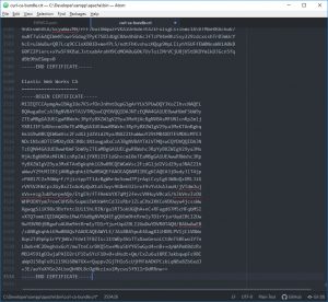 Step-by-Step XAMPP, SSL & CURL Instructions for Windows 10 Localhost – Elastic Web Works
